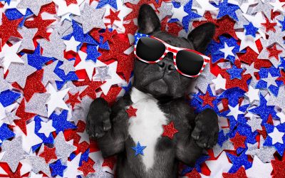 1228 Pet Names Inspired by American Cities - Name 4 Pets